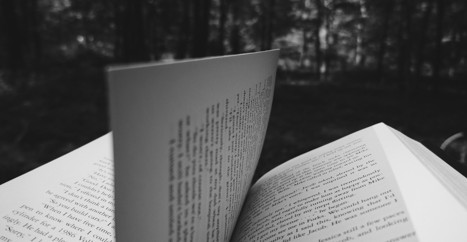 T w i L i f e r - - -: MIDNIGHT SUN