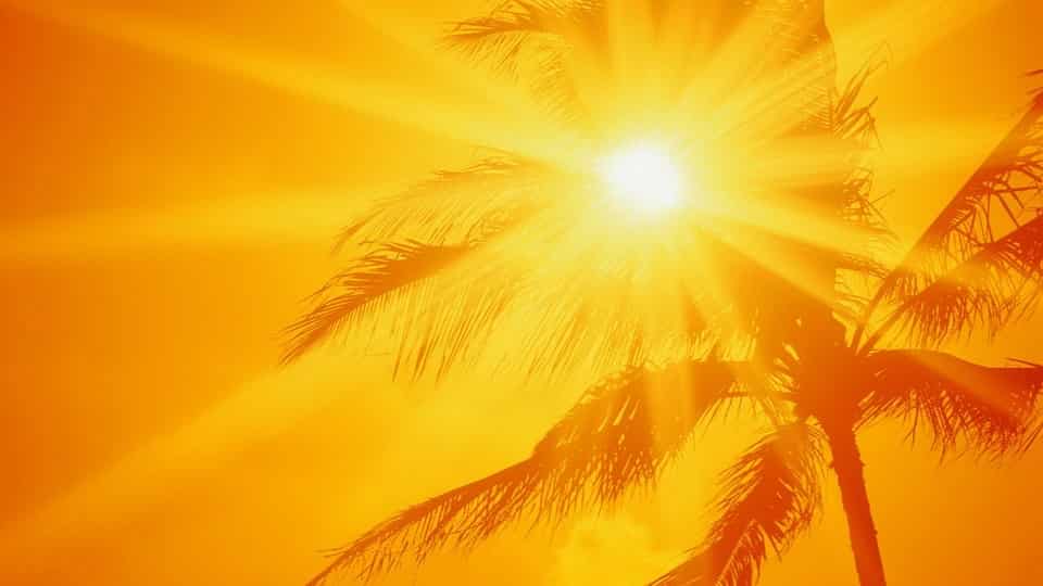 Heat may reach up to 50 degrees in 4 Regions of Saudi Arabia - Meteorology