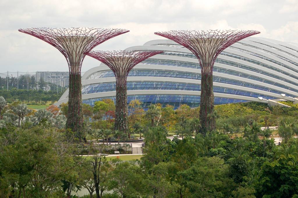 The Supertrees of Singapore ~ Kuriositas
