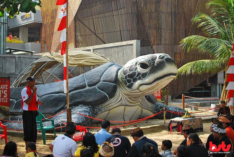 Hard Rock Hotel Bali (Kuta): Bali Sea Turtle Society