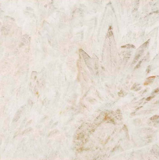 china stone_Xiamen Xinhaolei Import&Export Co.,Lcd : Lotus Jade Mrable ...