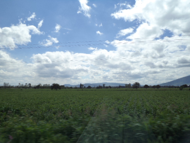 GUANAJUATO EN DOS MIL IMAGENES: DE JARAL DEL PROGRESO A VALLE DE SANTIAGO