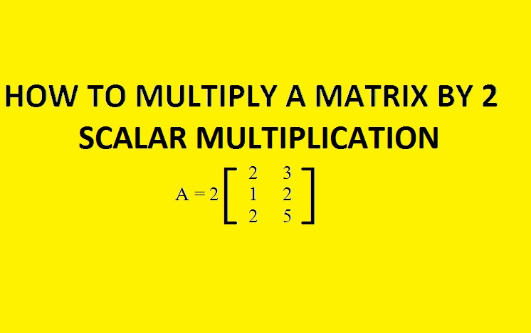 How To Multiply A Matrix By 2 Scalar Matrix Multiplication how-to-multiply-a-matrix-by-2-scalar-matrix-multiplication