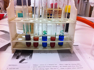 LAB SCIENCE!!!: L6: FEHLING'S TEST: REDUCING SUGARS