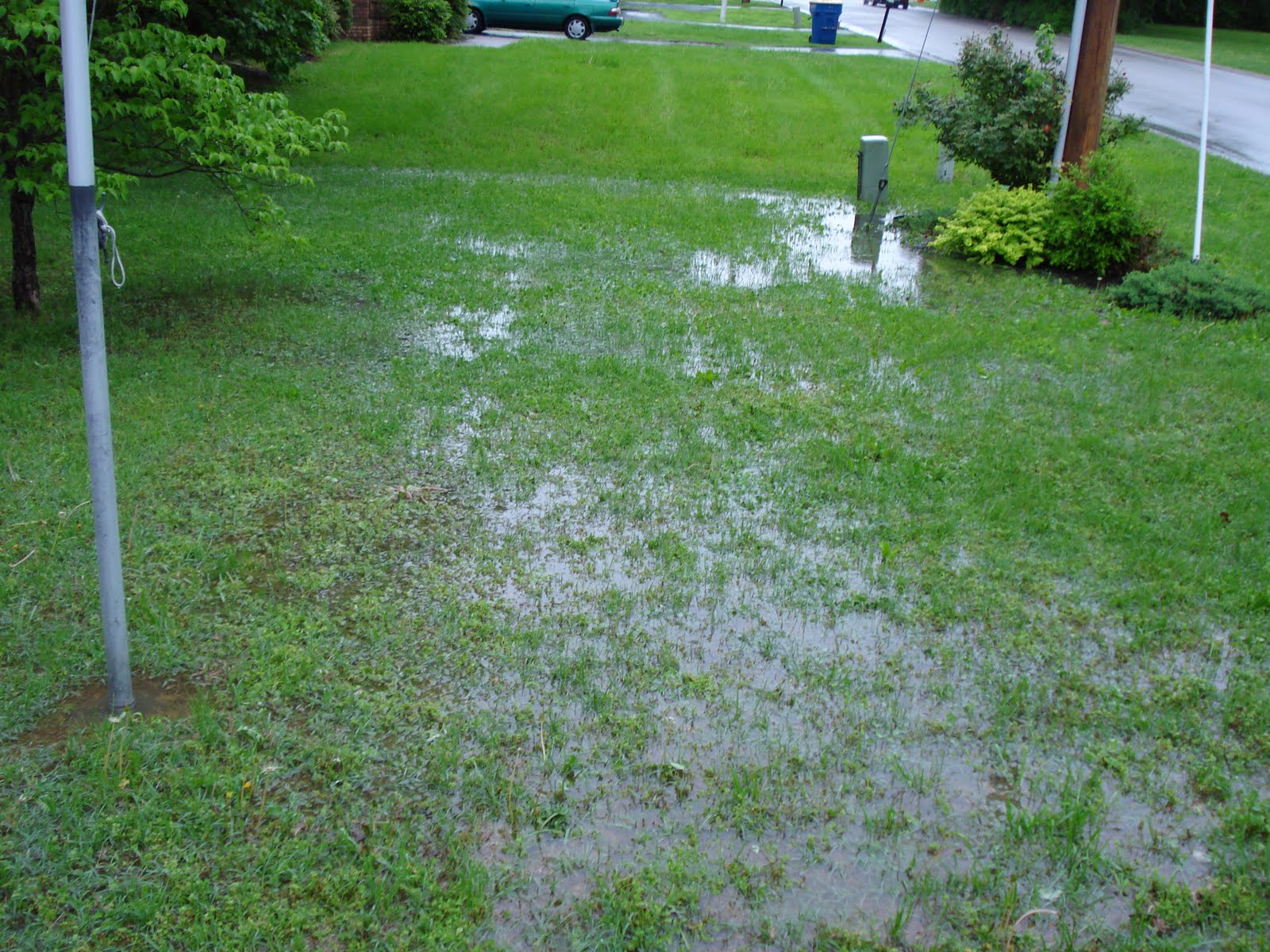 BJ's Tidbits: RAIN, RAIN, GO AWAY (come back this summer when we need you!)