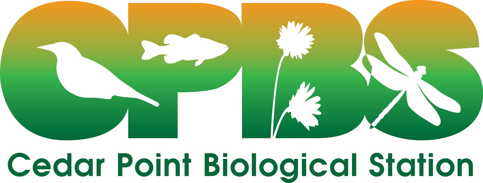 Dirt, Sweat, & Science: Life at a Field Station: Projects