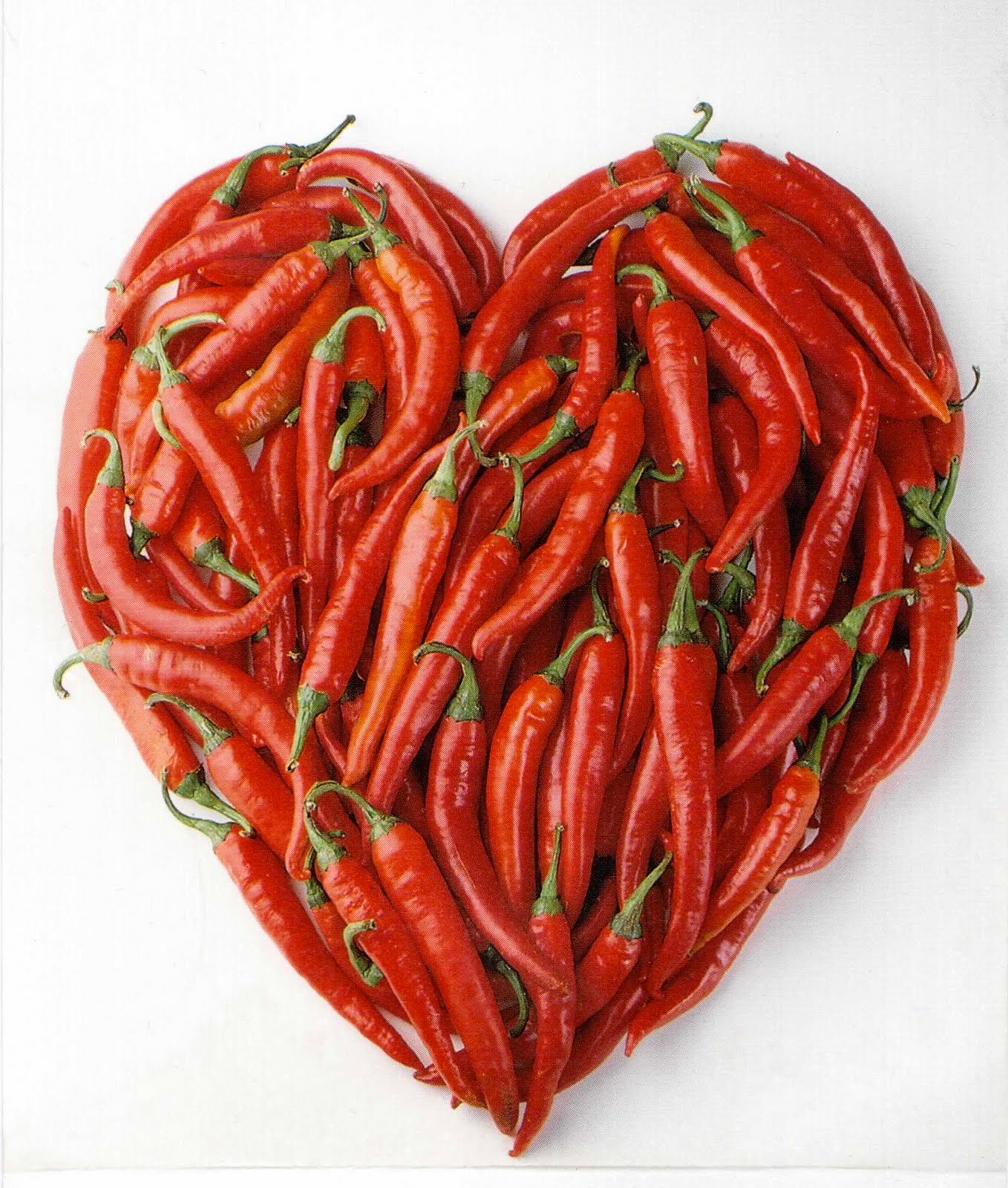 Sabor London :. Latin American Food, Music, Culture: Chillies at South ...