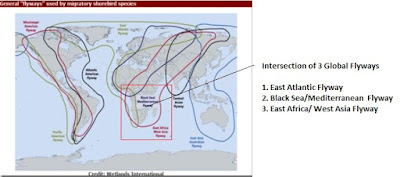 Avian Flu Diary: DAFF Update On HPAI H5N8 In South Africa