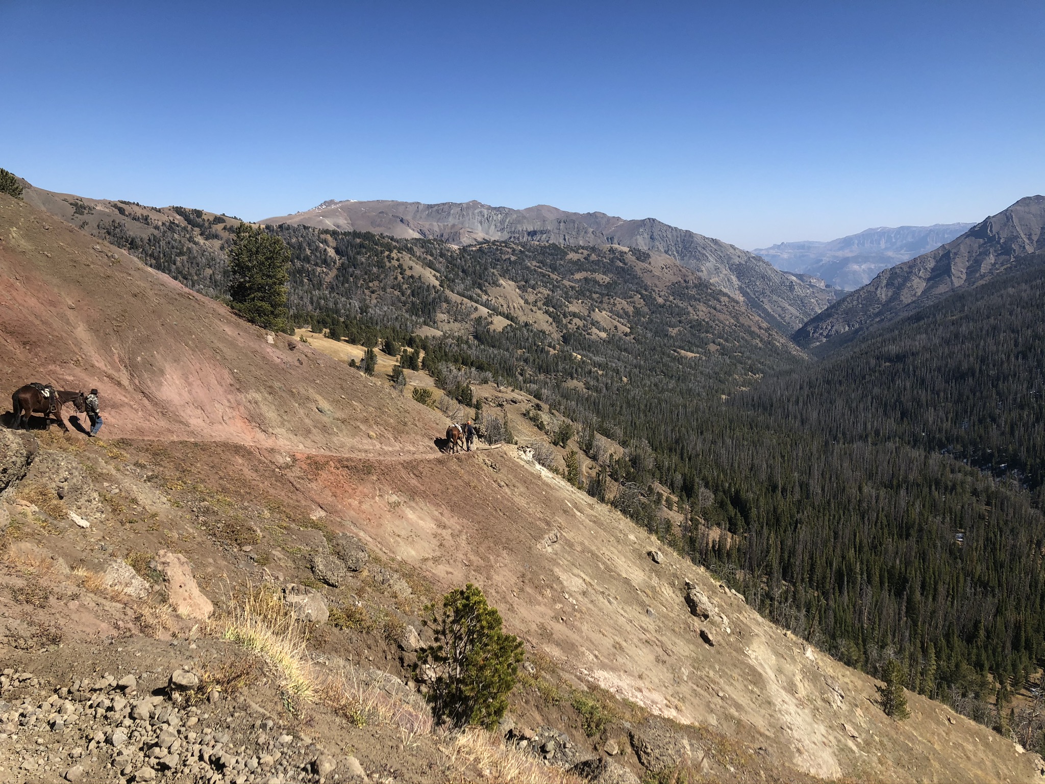Laurel Ridge Farm: Thorofare Elk Hunt - The Ride In and Out