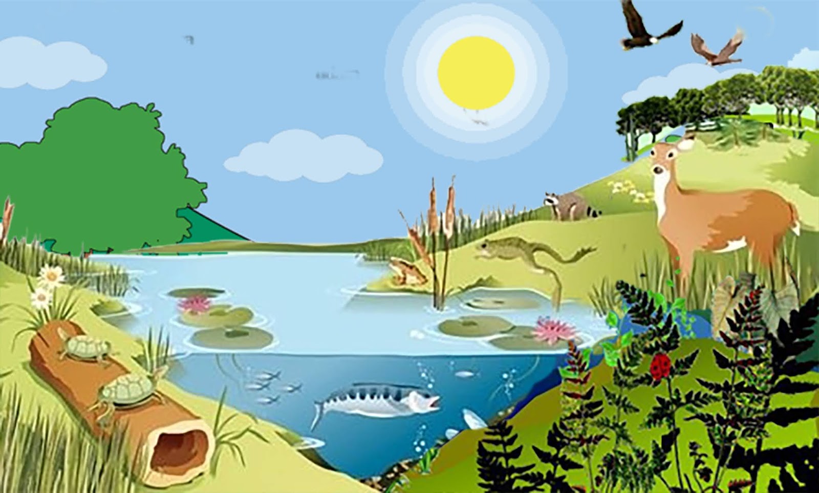 KELAS IV SD 2 KRETEK: JENIS –JENIS EKOSISTEM