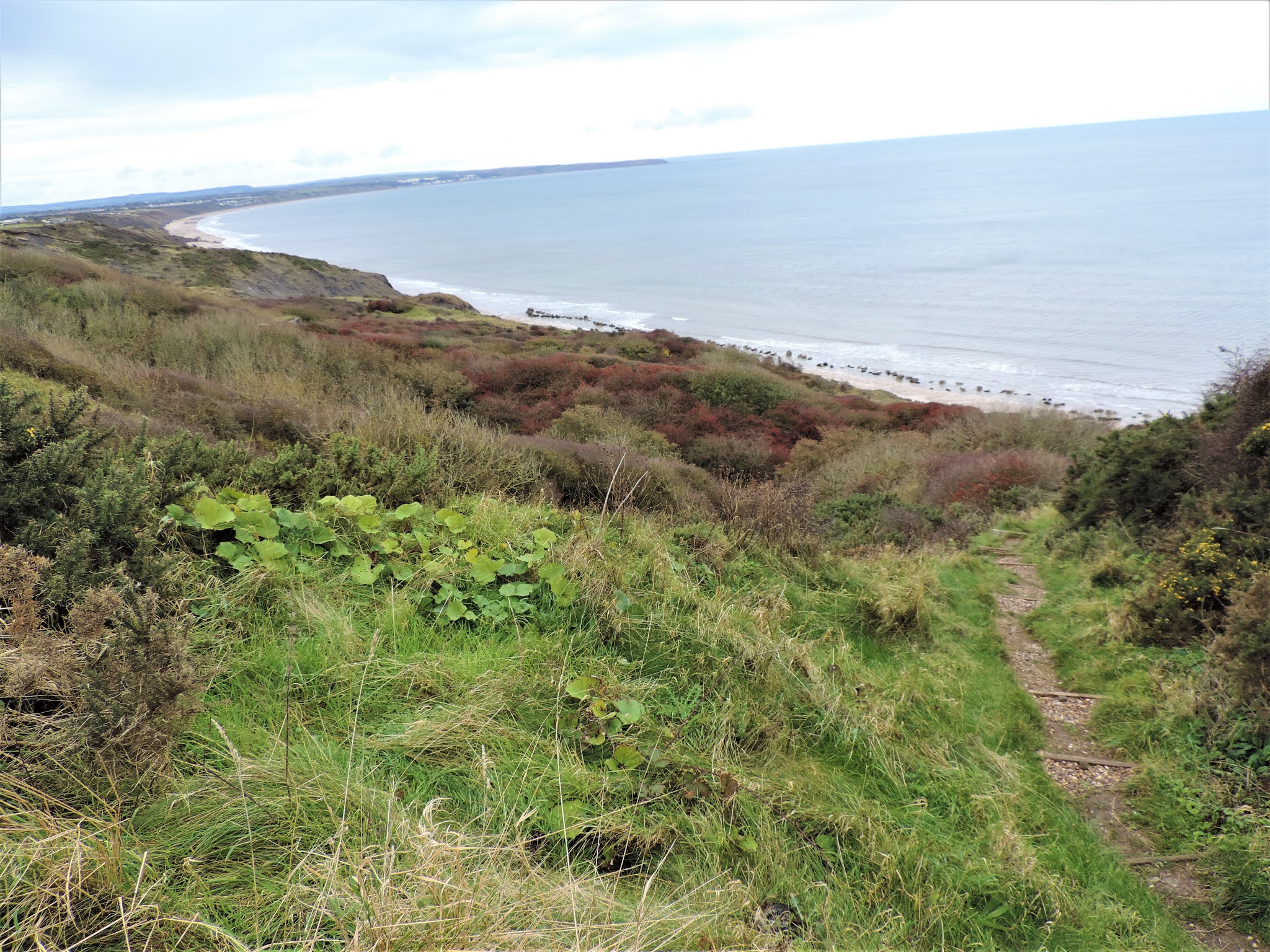 CARAVAN CAPERS: MUSTON GRANGE CAMPSITE NEAR FILEY COVID FREE BREAK
