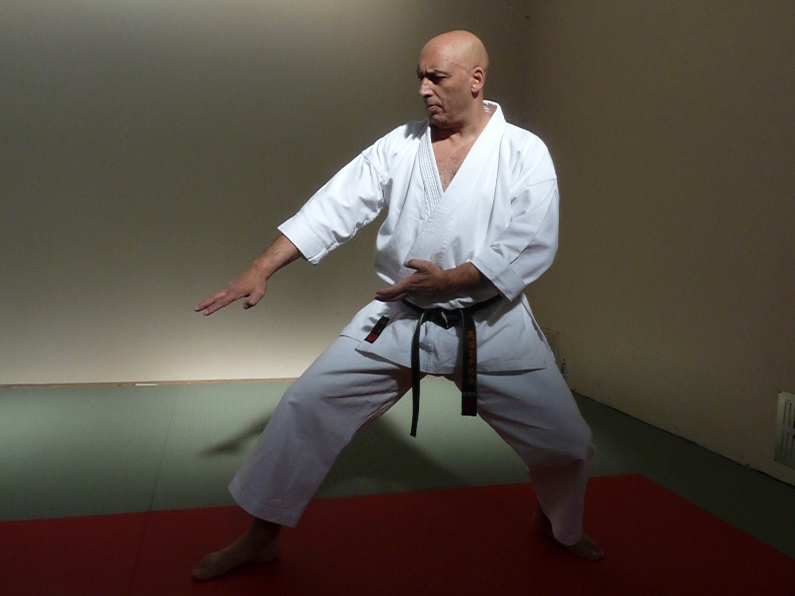 JUST KARATE: February 2013