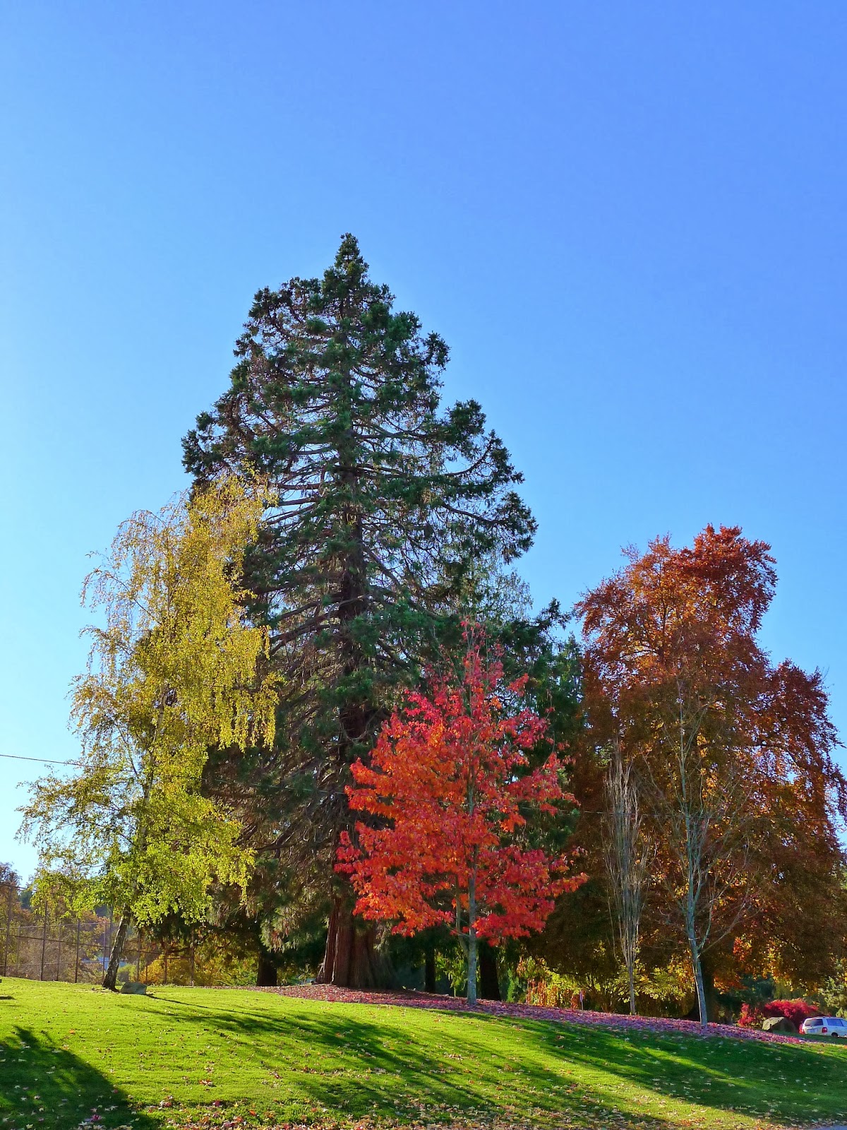 Good Life Northwest: Happy November - Photo Tour of Point Defiance Park