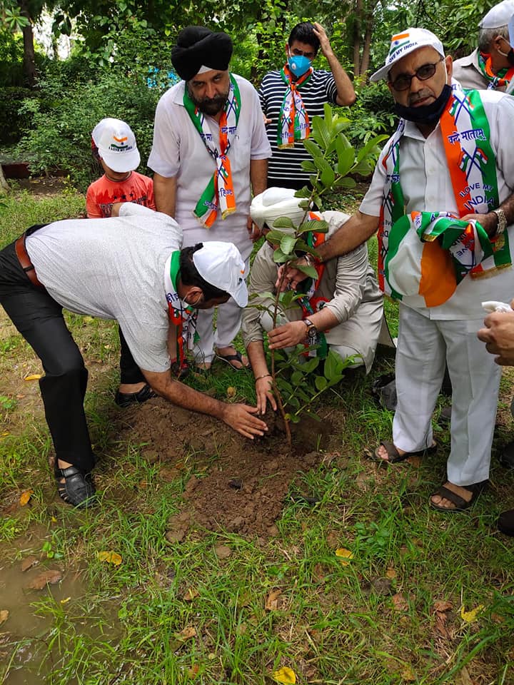 Sikhs India - Online Sikh News Channel: Vikram Singh Rohini:Tree ...