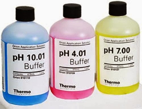 El Pequeño Agroindustrial: Solución Buffer