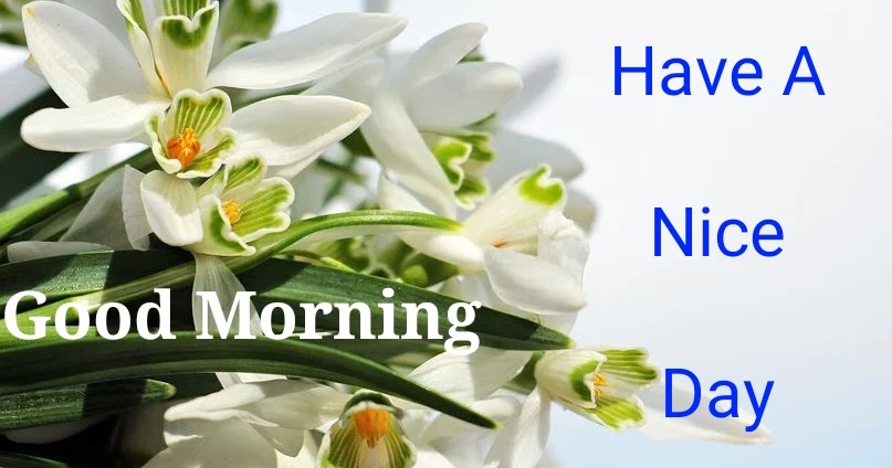 Top 10 Good Morning images, greetings, pictures for whatsapp ...