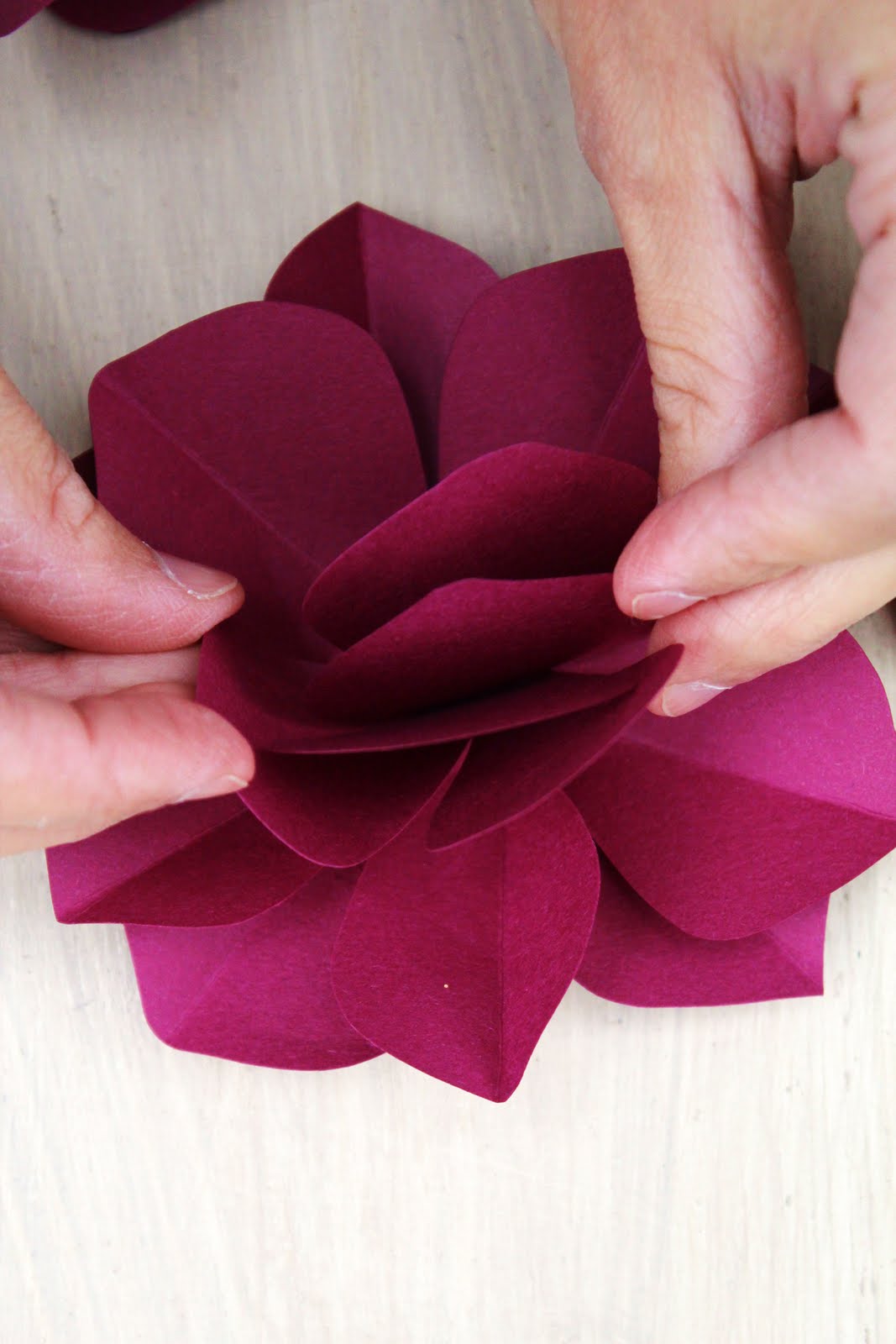 Icing Designs: DIY Paper Flowers