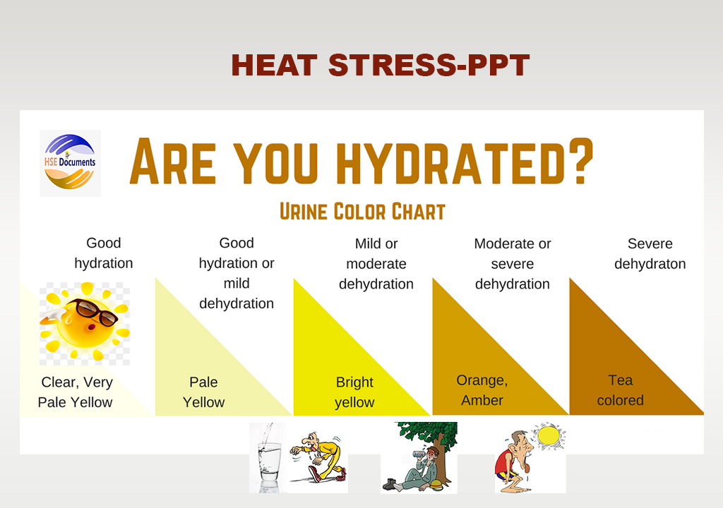 urine color chart what color is normal what does it mean heat stress ...