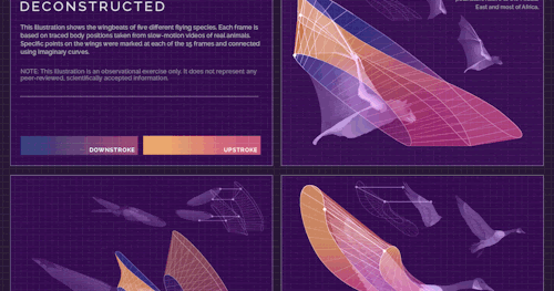 Ramblings of a 3D artist: Flight cycles