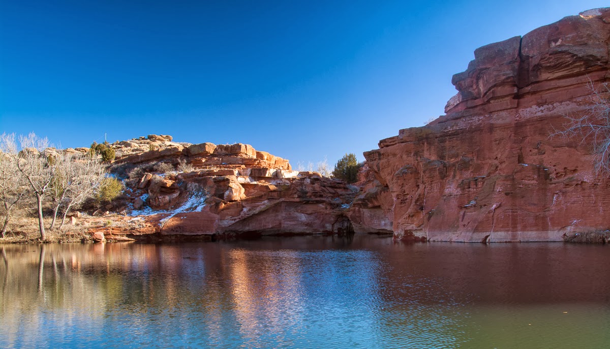 A Tree Falling: Two Buttes Reservoir State Wildlife Area