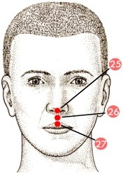 Acupressure Knowledge (एक्यूप्रेशर ज्ञान): Acupressure Points to Treat ...