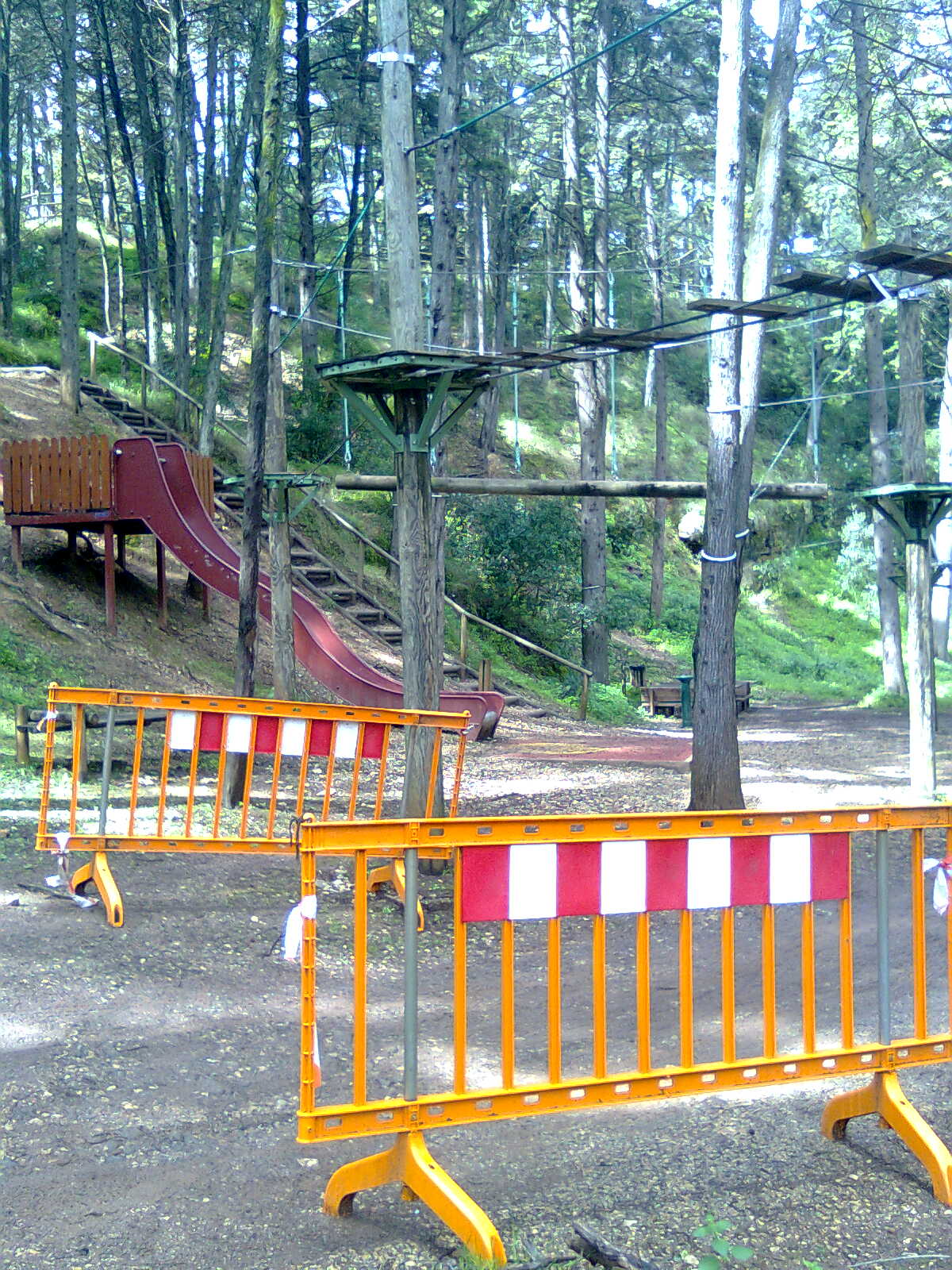 LISBOA S.O.S.: Parque da Pedra, Monsanto