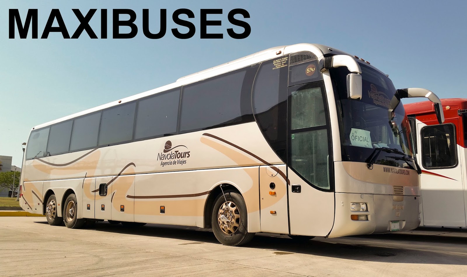 MAXIBUSES: AUTOBUSES TURÍSTICOS NAVOLA TOURS (TURISMO)
