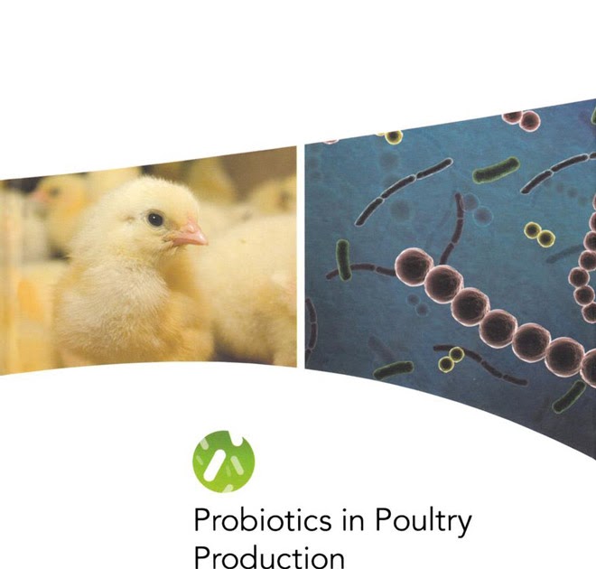 Probiotics in Poultry Production: Concept and Application