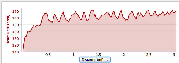 Runs for Cookies: A fartlek run