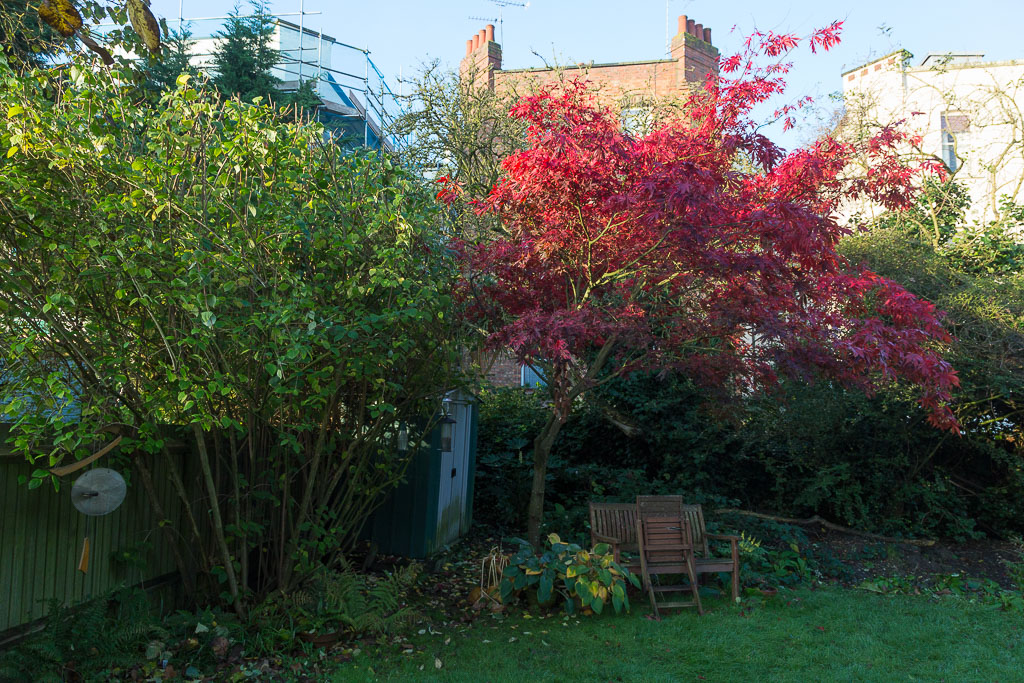 Shadows & Light: Before and After