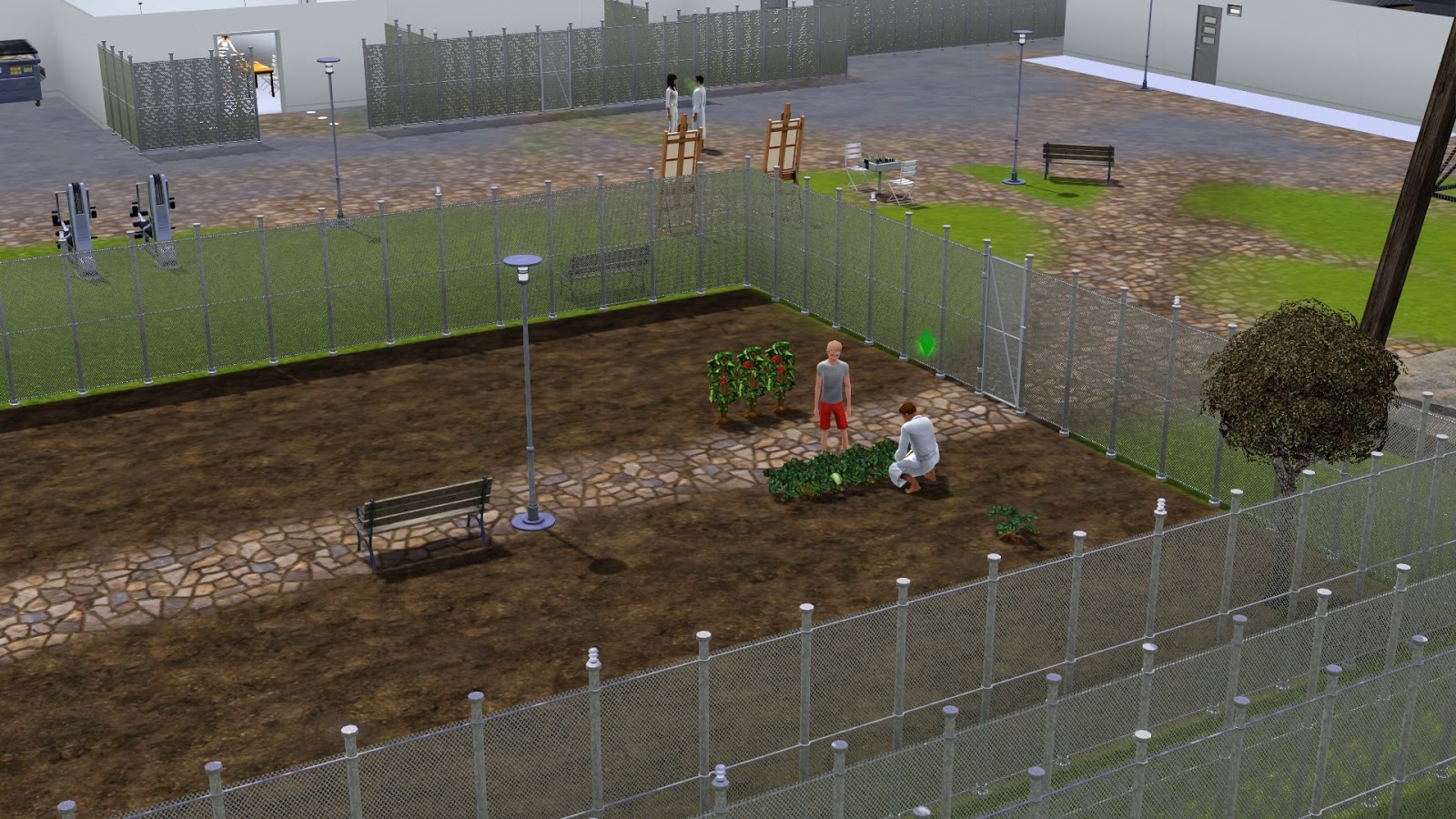 Mikey Hanson: The Sims 3 Prison Experiment