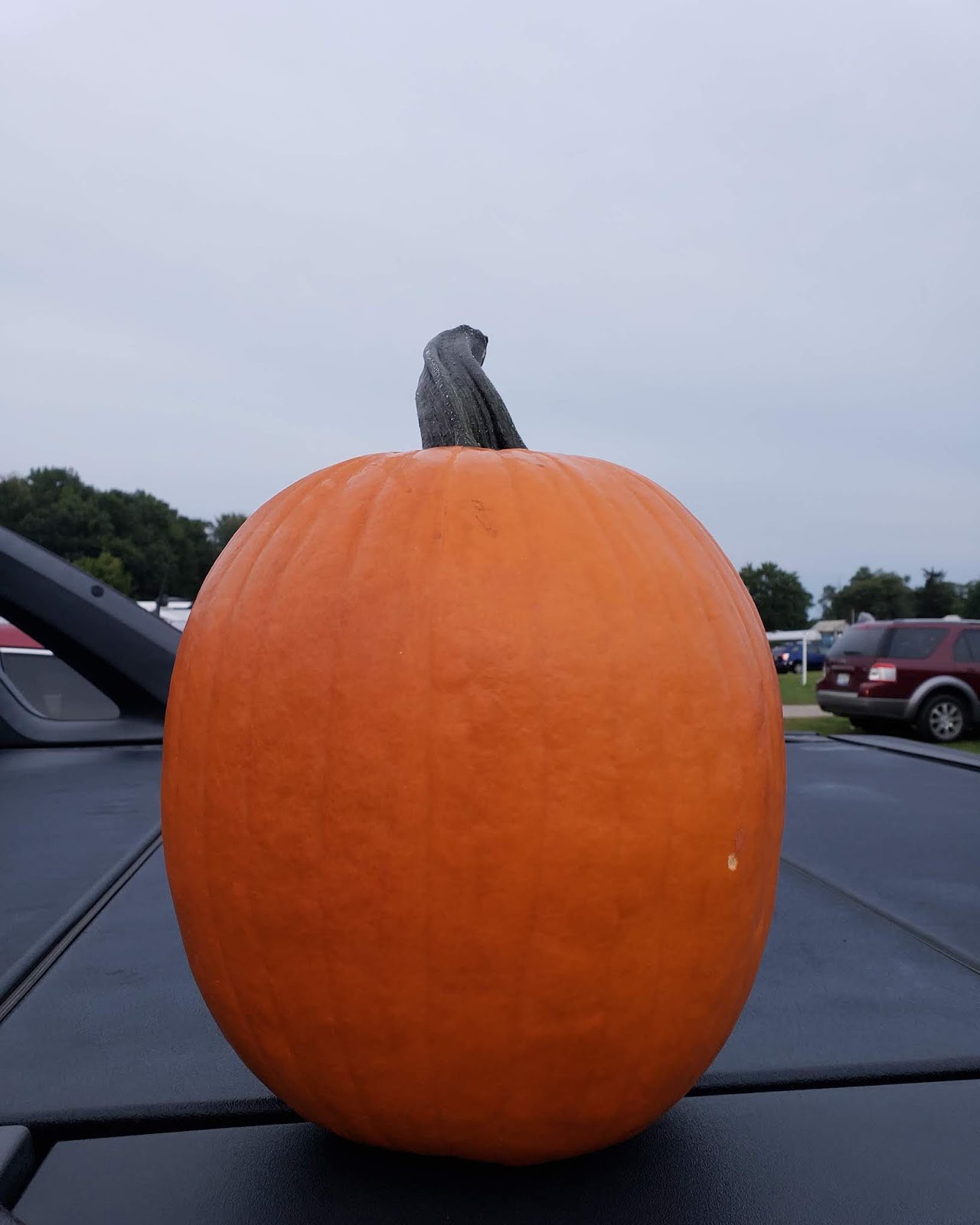 Back To Basics: Race Review: The Great Pumpkin Run 5K Tough Pumpkin ...