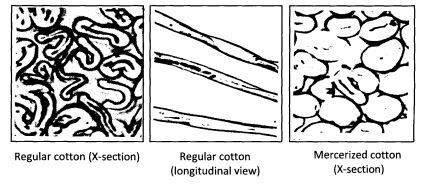Nazmuljoss: TEXTILE FIBRES-Fibre Identification (Light Microscopy Test ...