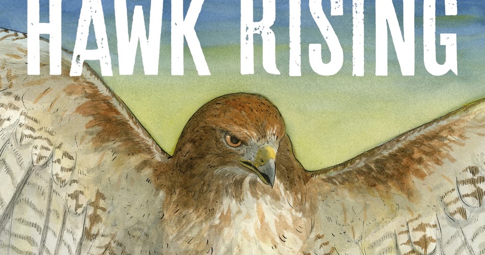 Librarian's Quest: Soaring, Seeking And Seeing