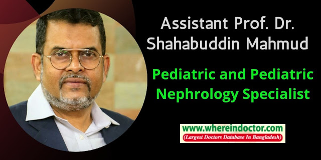 Profile of Assistant Prof. Dr. Shahabuddin Mahmud - Where In Doctor