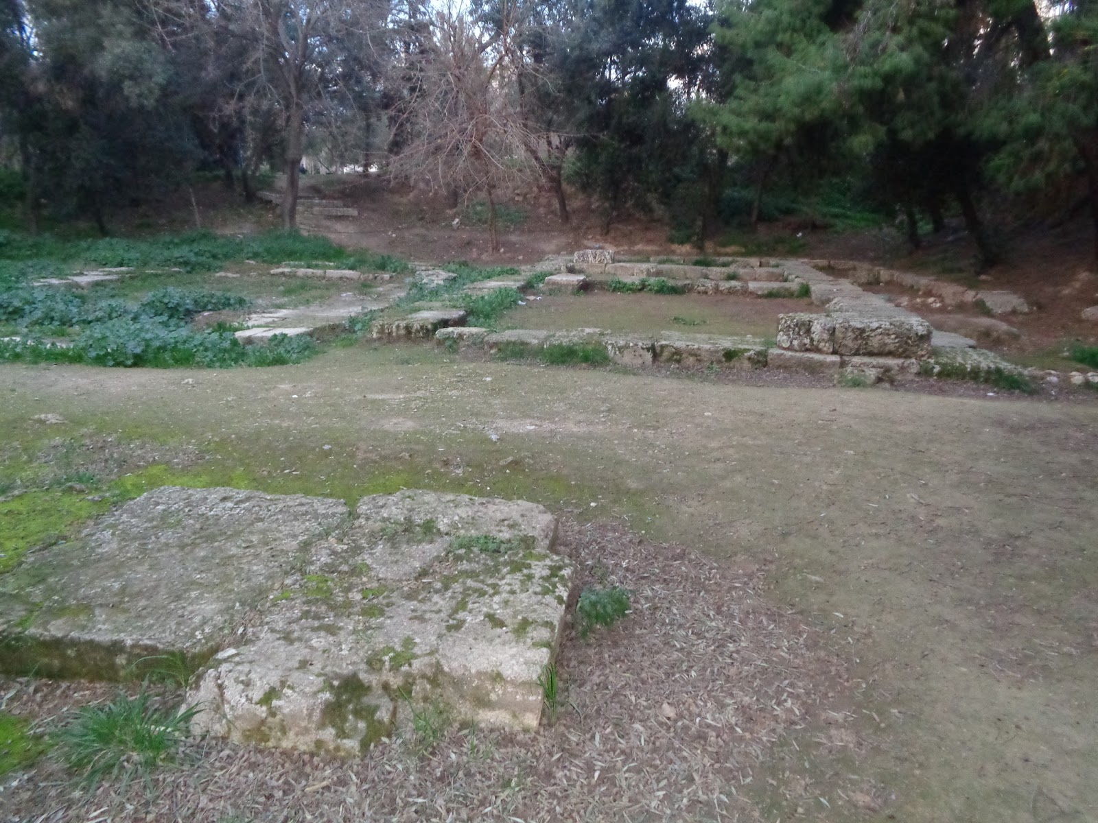 ξυπόλητη στην έρημο...: Ιανουαρίου 2016