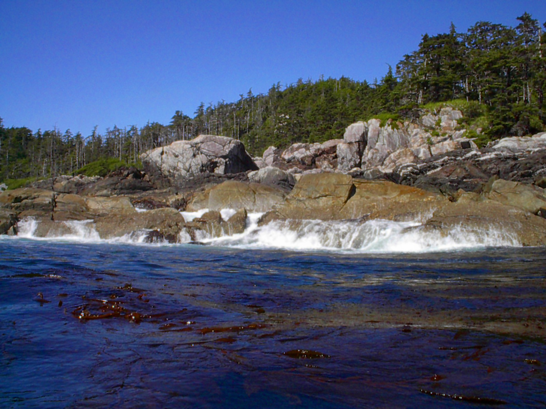 Northwest Explorer: Baranof Island 2003