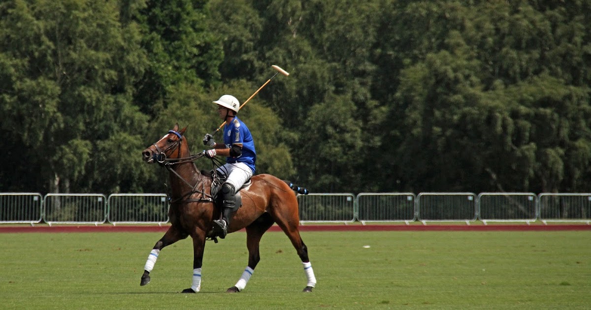 Jorge Almada Criador