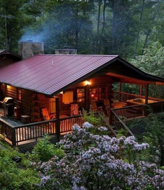 Cabin Design Inspiration