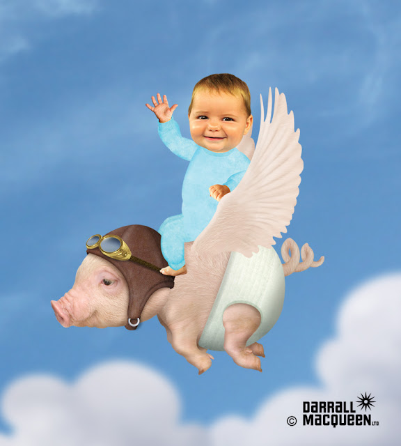 whale on wheels: Baby jake series 2
