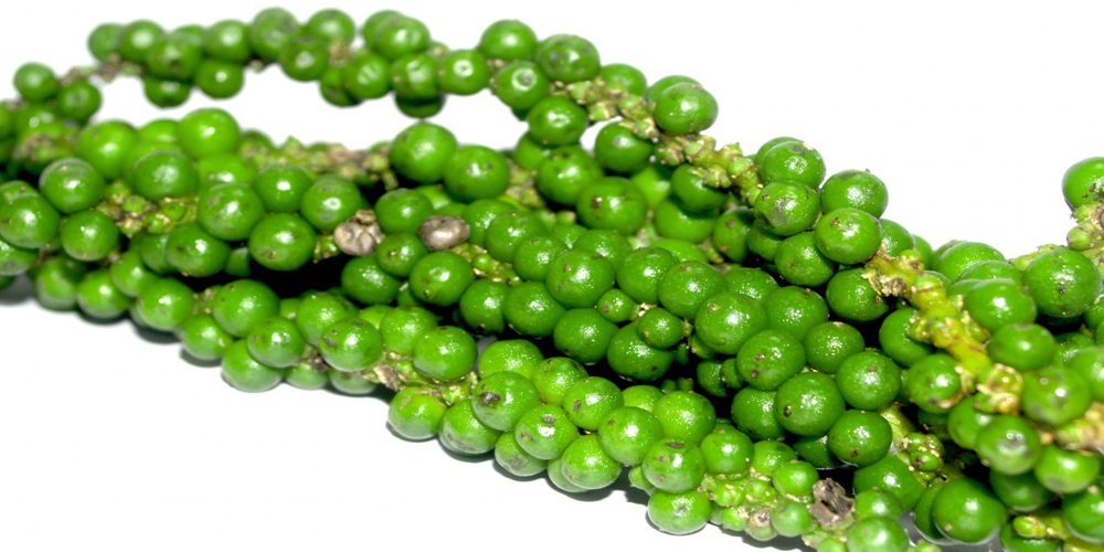 Merica atau Lada (Piper Nigrum) ~ Resep Masakan Enak