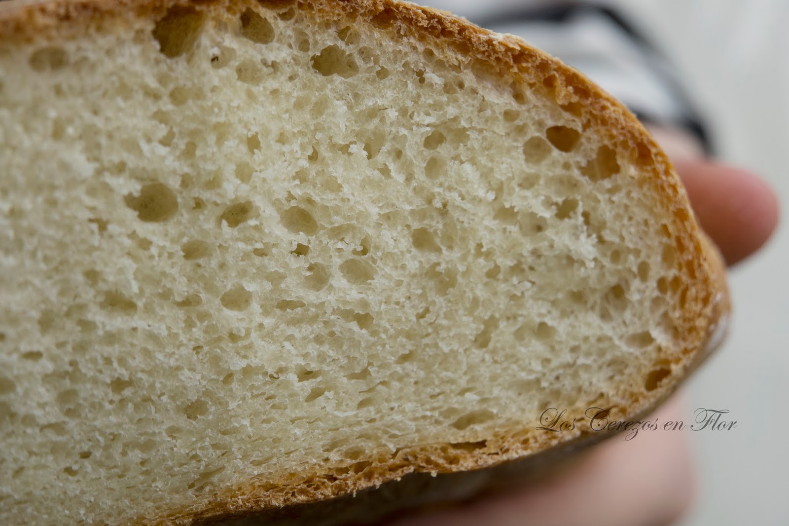 Los cerezos en flor: Pa de Pagès, Terrina de Pa de Pagès y las Cookings ...