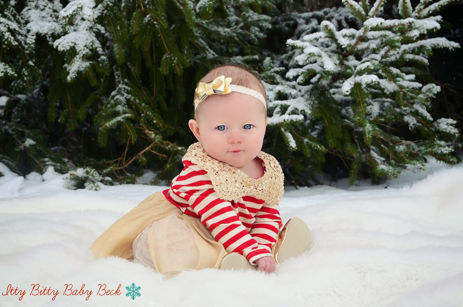 Beck Babies: Week 26