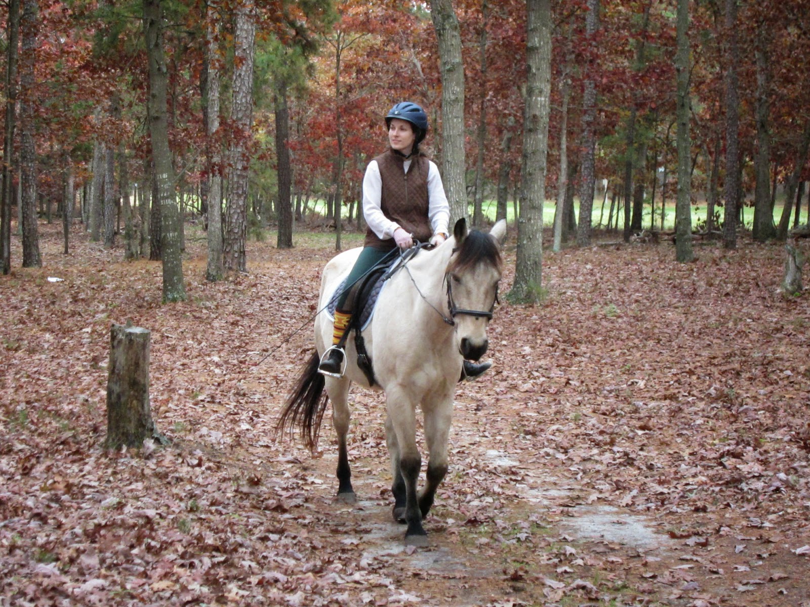 Memoirs of a Horse Girl: B-day Photo Shoot and Giving Thanks