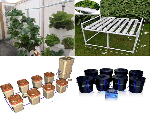 Hydroponic Planting Tips and Best Purchase Hydroponic Growing System ...