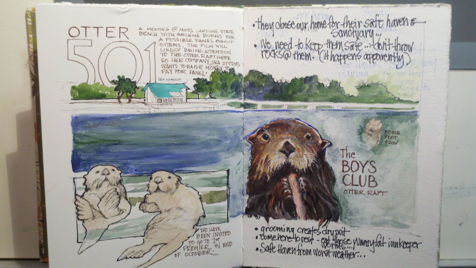 Sketching in Nature: Otter 501 - by Gay Kraeger