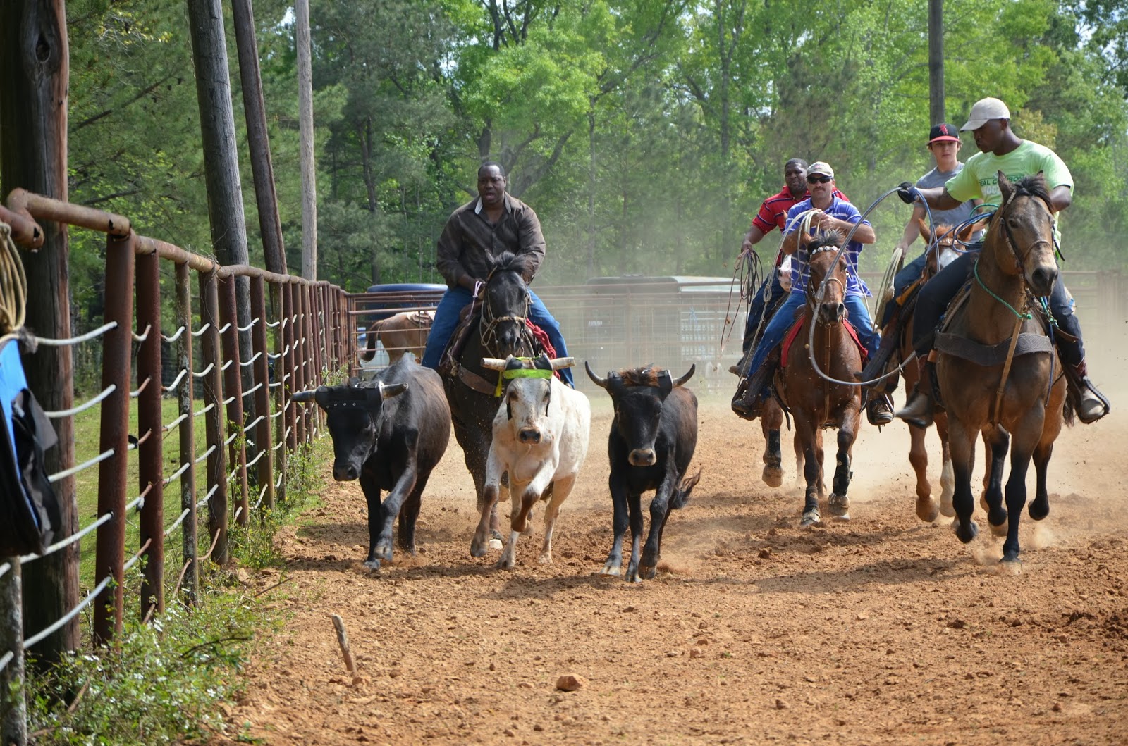Exploring and Preserving African American History in the Louisiana ...