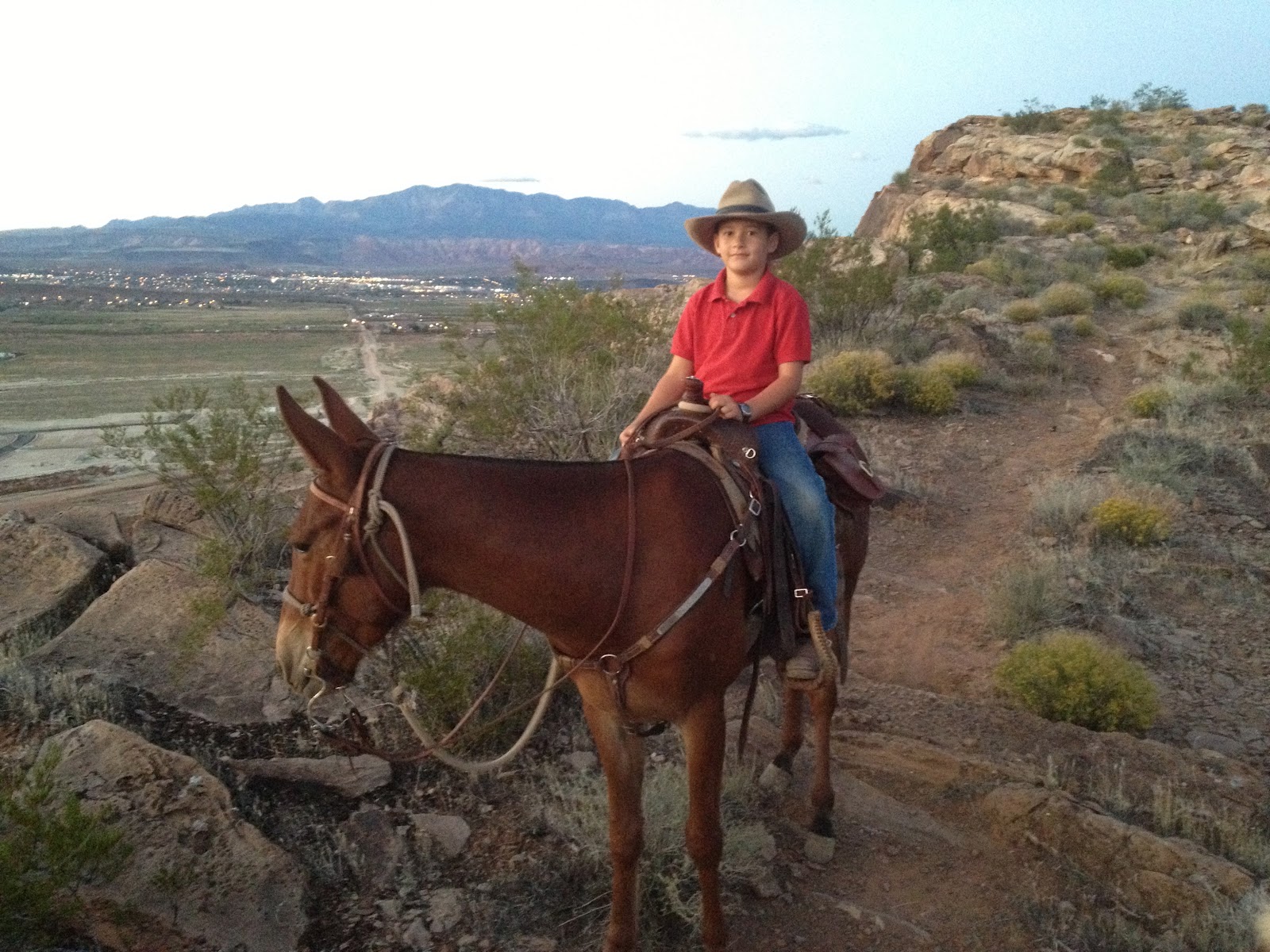 Longears and Sourdough: Kids train Mules train Kids
