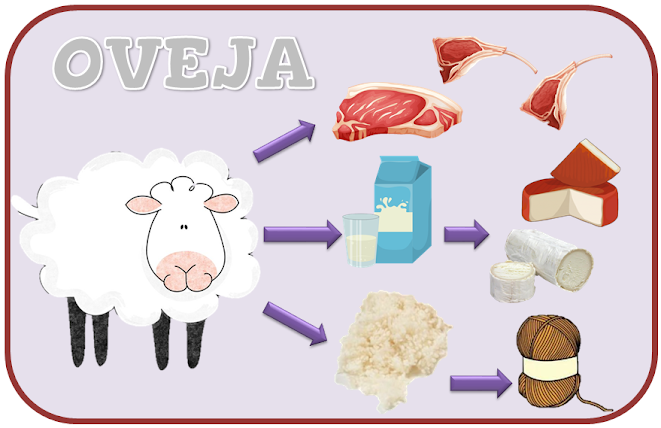 Infantil 3 años: mayo 2021