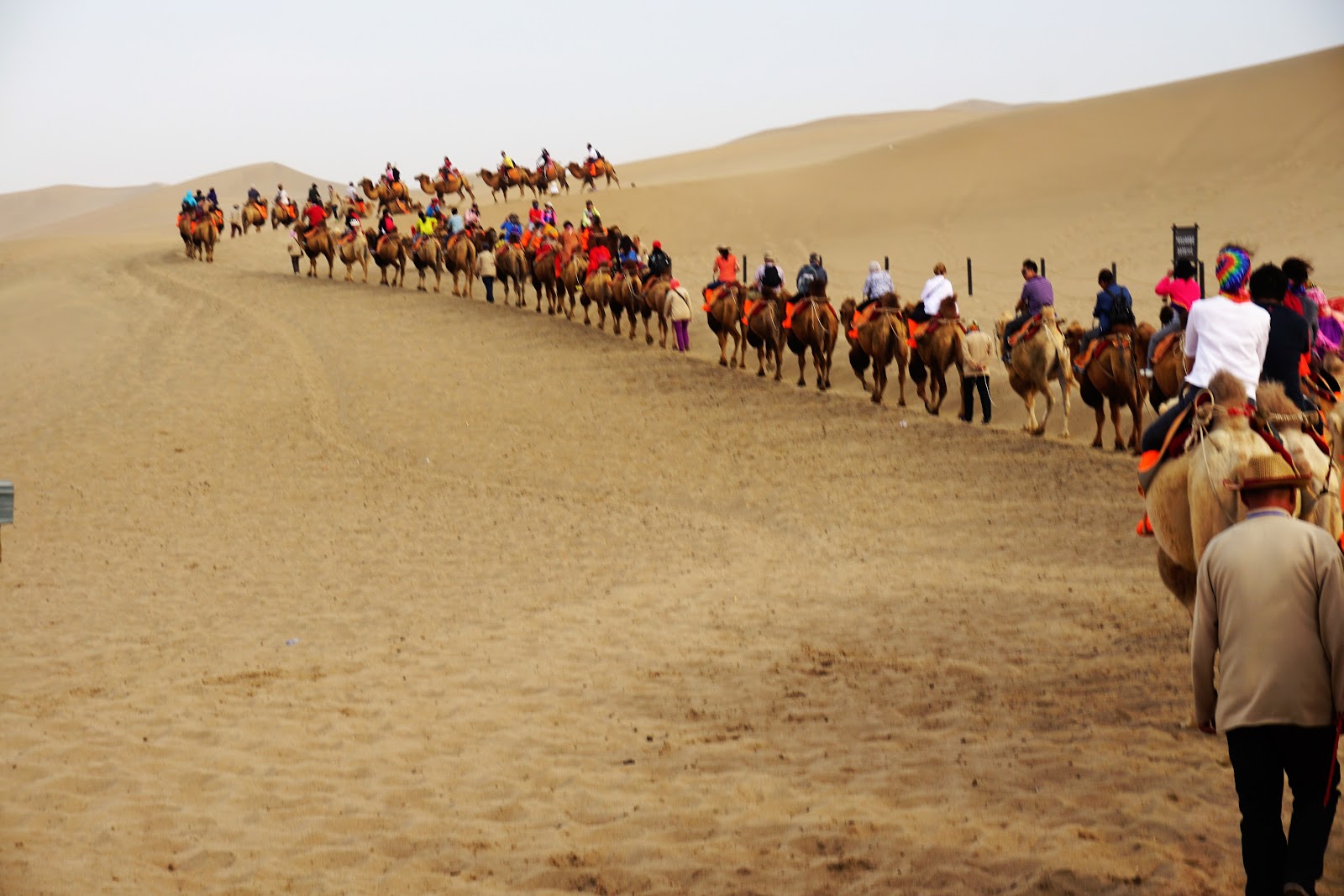 Souvenir Chronicles: DUNHUANG, CHINA: RIDING CAMELS IN THE GOBI DESERT